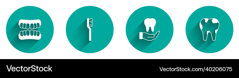 Set dentures model toothbrush and broken tooth Vector Image