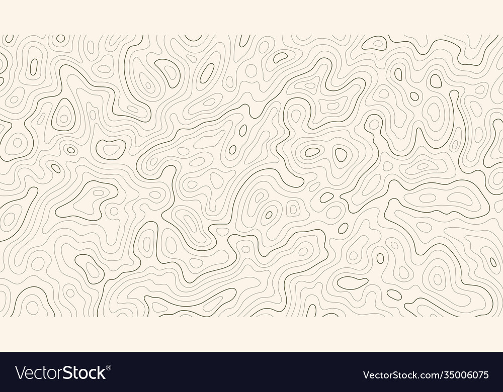 Topographic map patterns topography line Vector Image