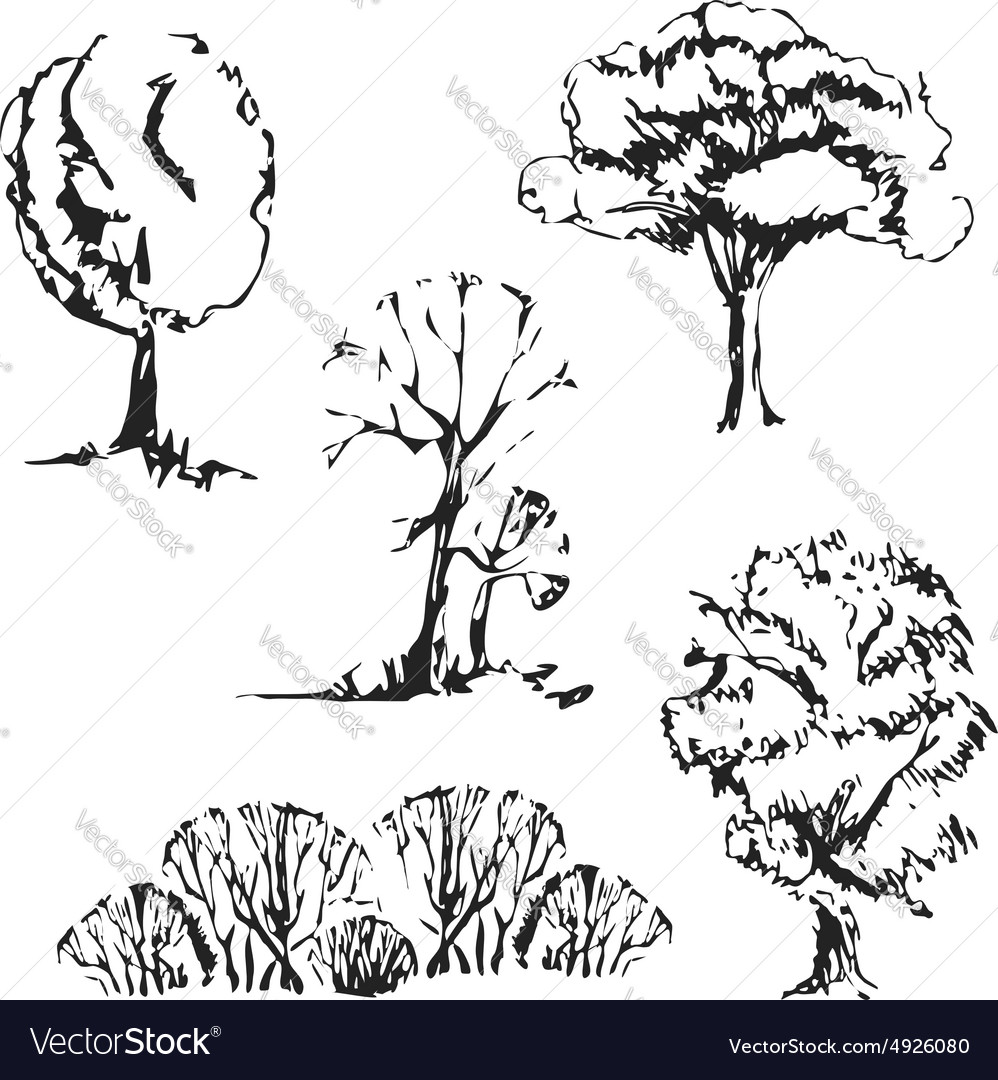 Hand drawn trees set Royalty Free Vector Image
