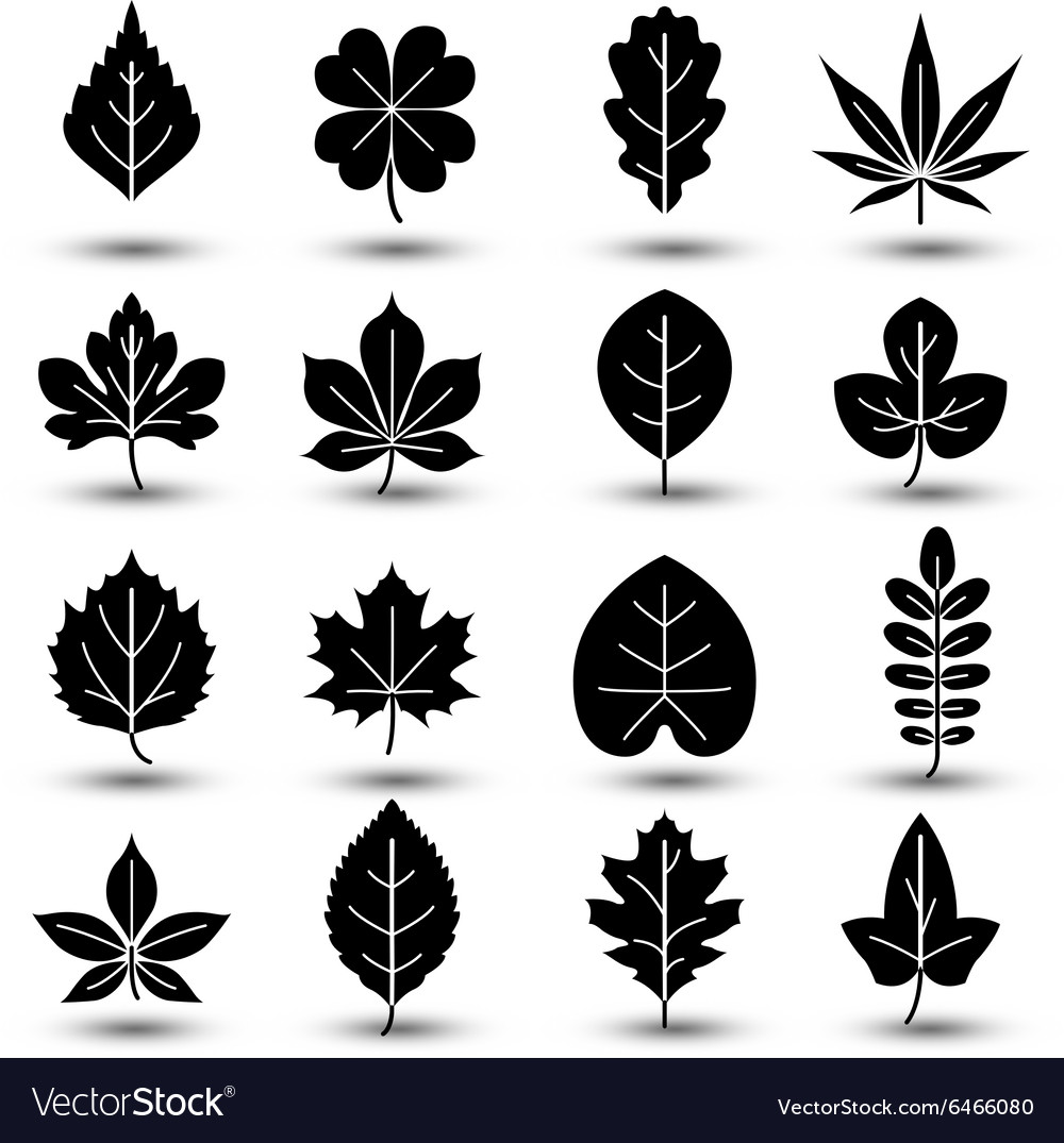 Leaf icon2 Royalty Free Vector Image - VectorStock Leaf icon2 Royalty Free Vector Image - VectorStock