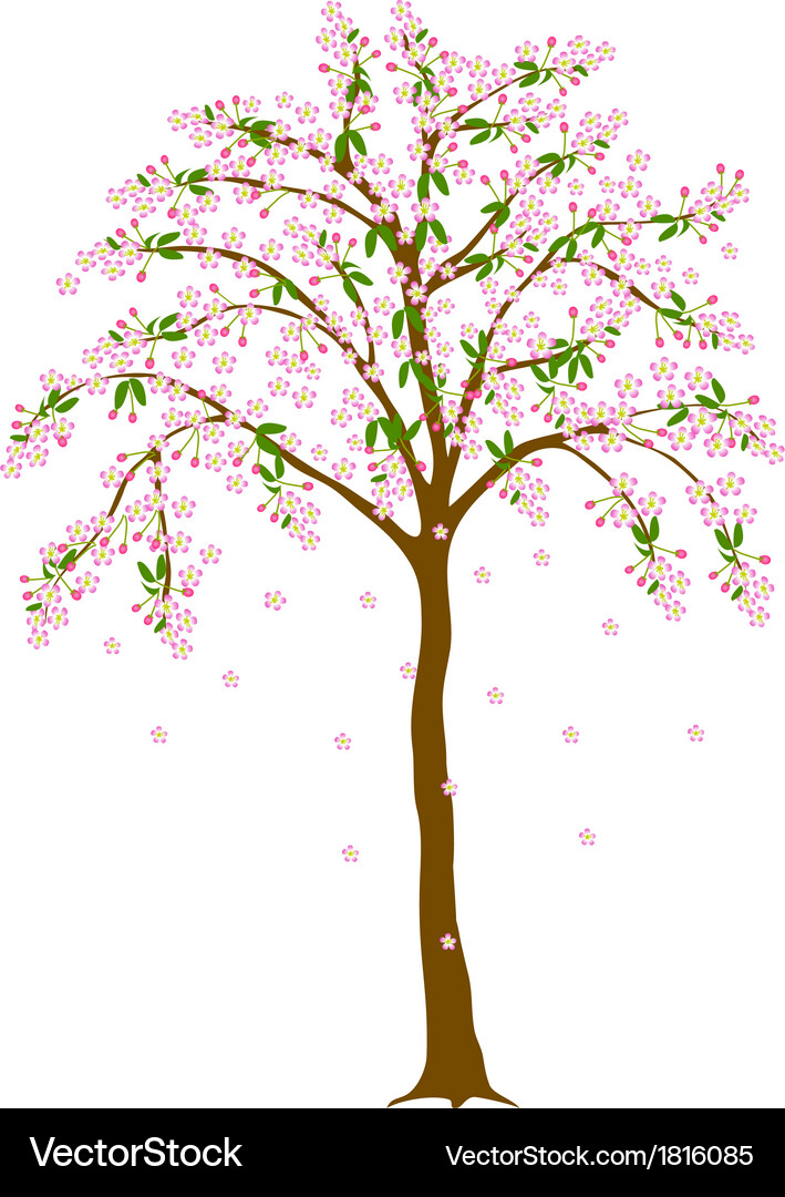 Blossom tree Royalty Free Vector Image - VectorStock
