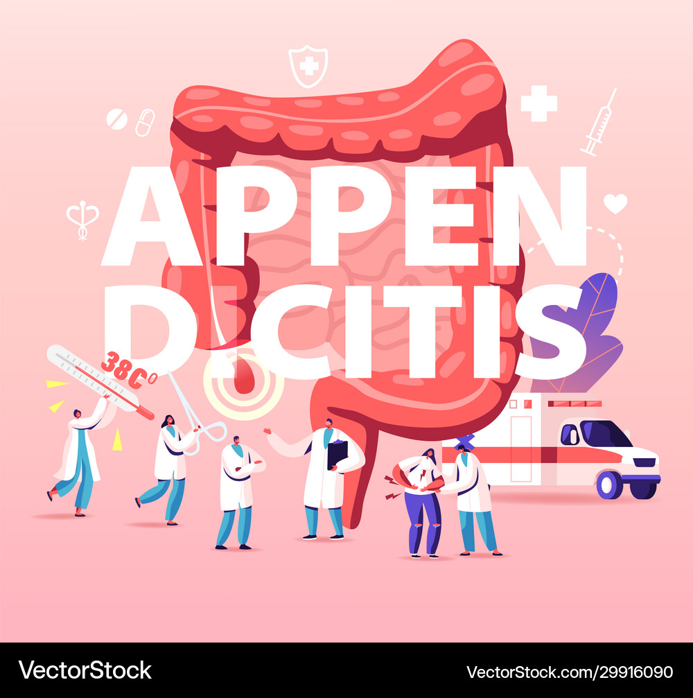 Appendix pain and appendicitis disease concept Vector Image