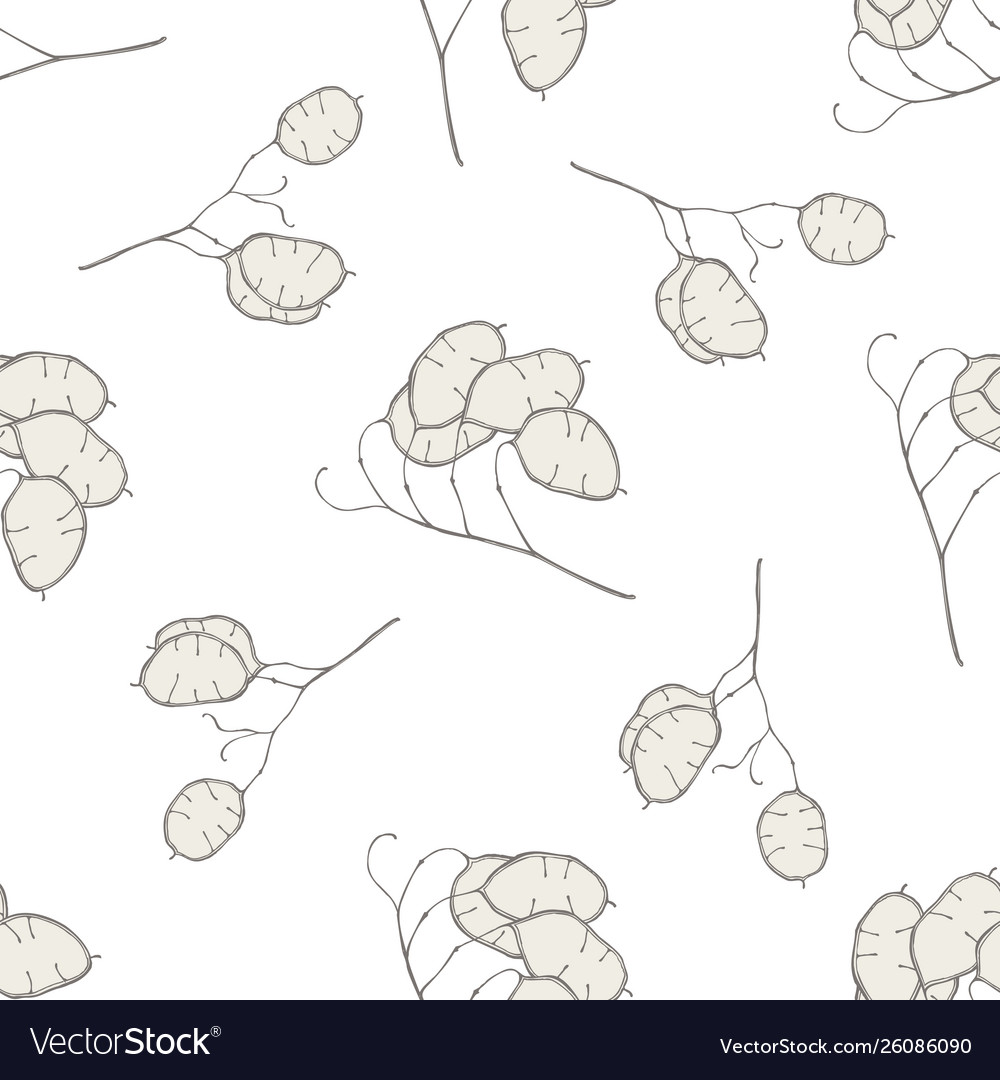 Seamless pattern with hand drawn pastel lunaria Vector Image