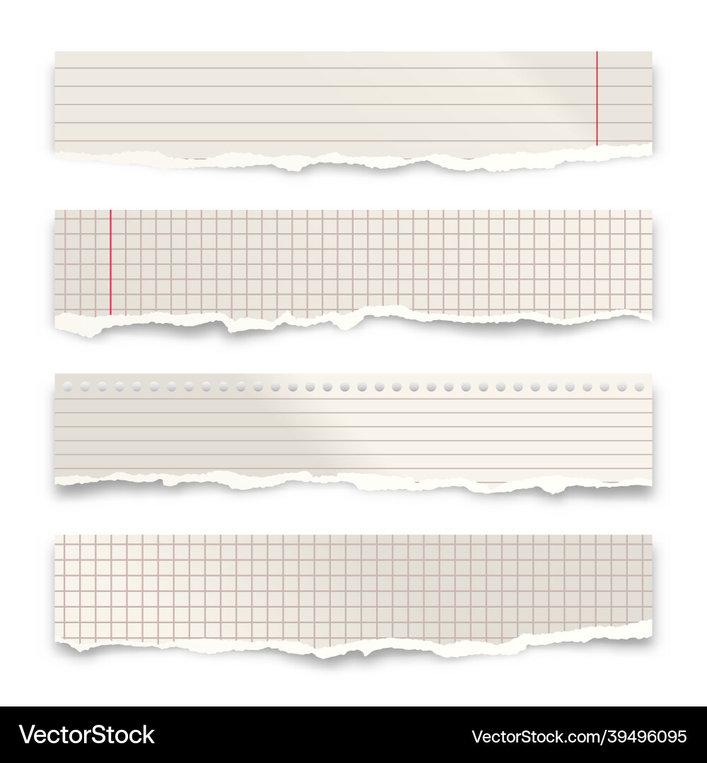 Ripped paper strips isolated on white background Vector Image