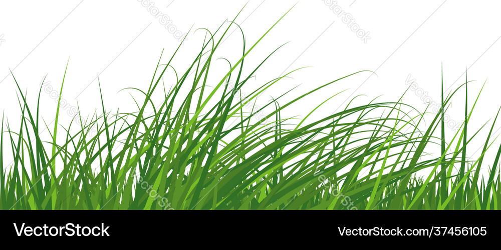 Green grass meadow Royalty Free Vector Image - VectorStock