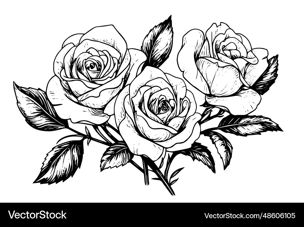 Vintage rose flower engraving calligraphic Vector Image