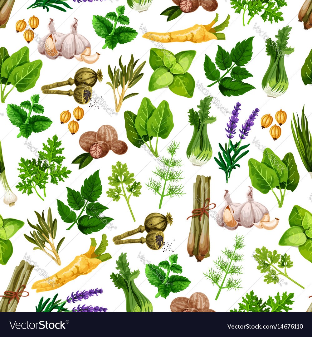 Seamless pattern of spice herb seasonings Vector Image