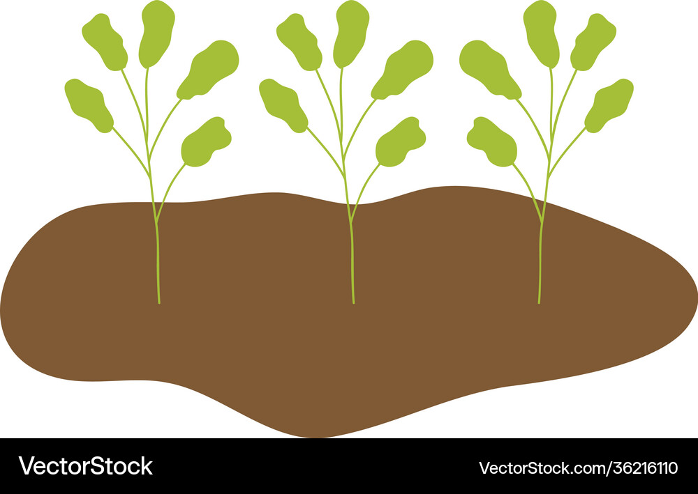 Soil with plants growing colorful design Vector Image