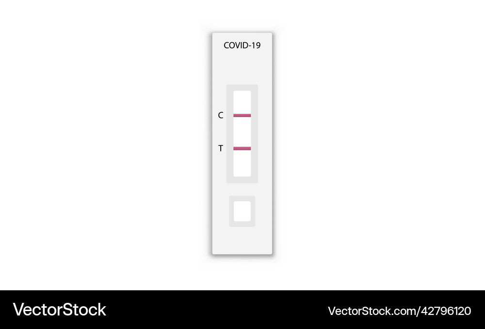 Covid-19 check kit on the white background Vector Image