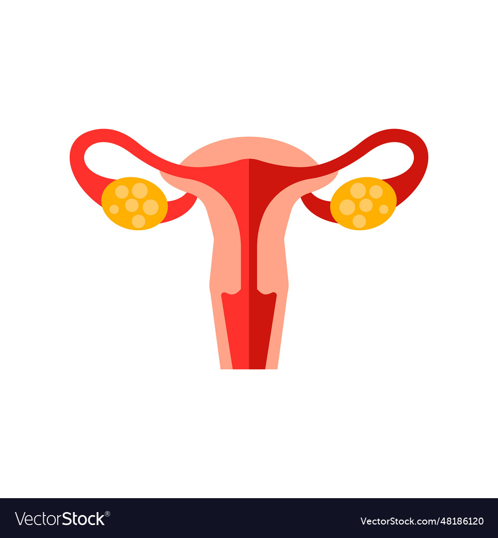 Female reproductive system icon Royalty Free Vector Image Female reproductive system icon Royalty Free Vector Image