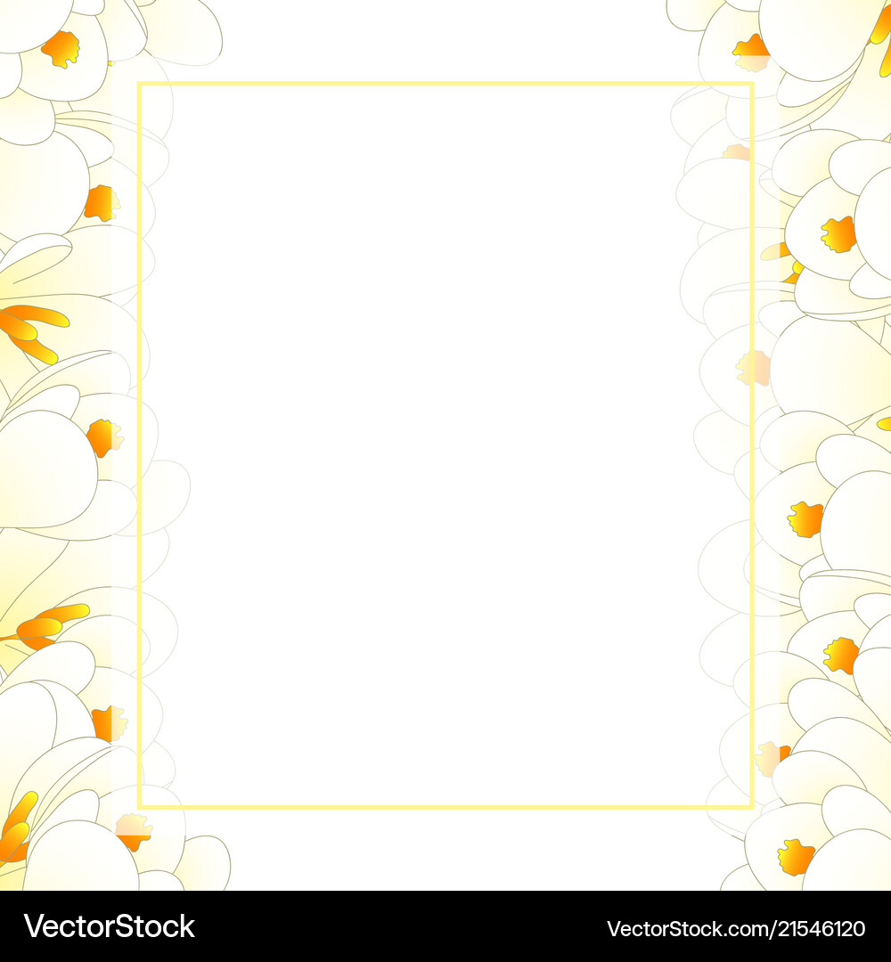 White crocus flower banner card border Royalty Free Vector
