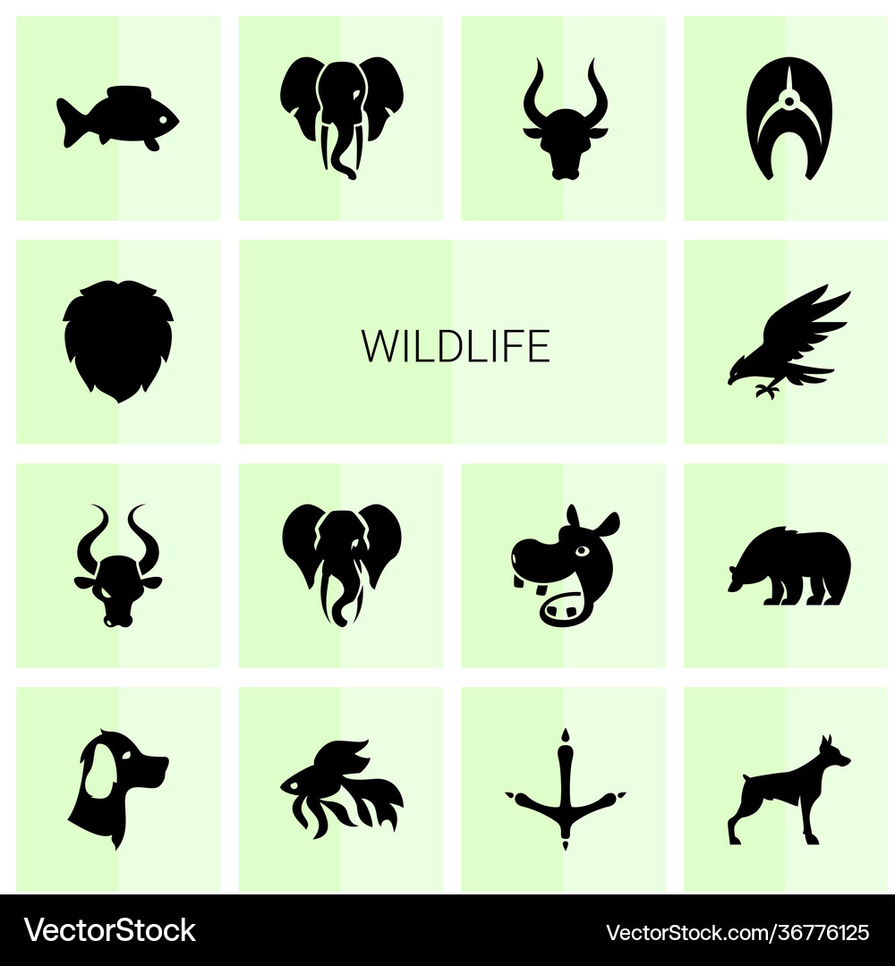 14 wildlife icons Royalty Free Vector Image - VectorStock