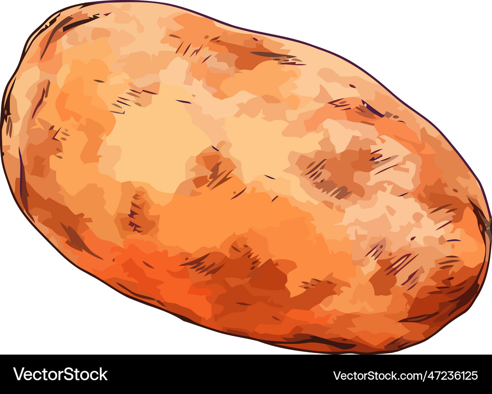 Fresh potato hand drawn sketch Royalty Free Vector Image