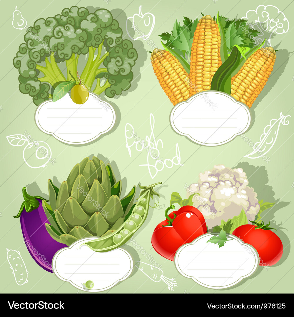 Vegetarian menu banners with field for your Vector Image
