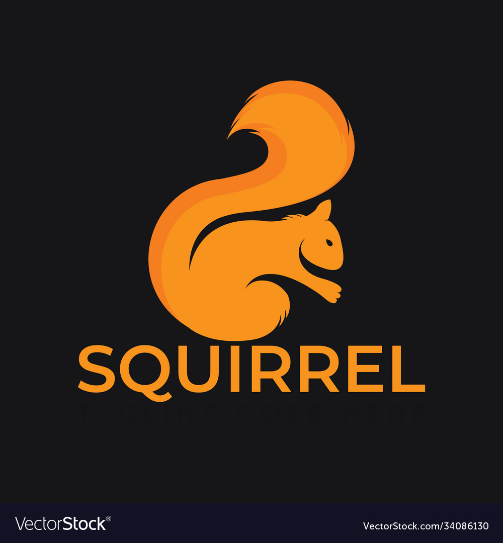 Squirrel logo design template Royalty Free Vector Image
