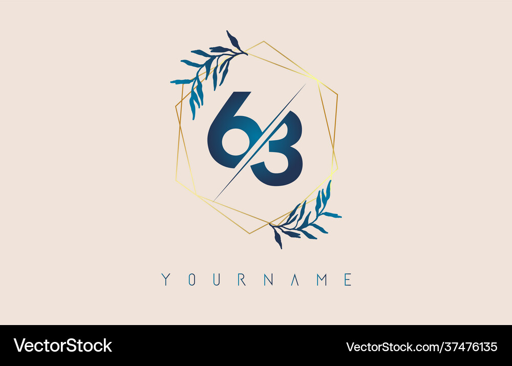 Number 63 6 3 logo with golden polygon frames Vector Image