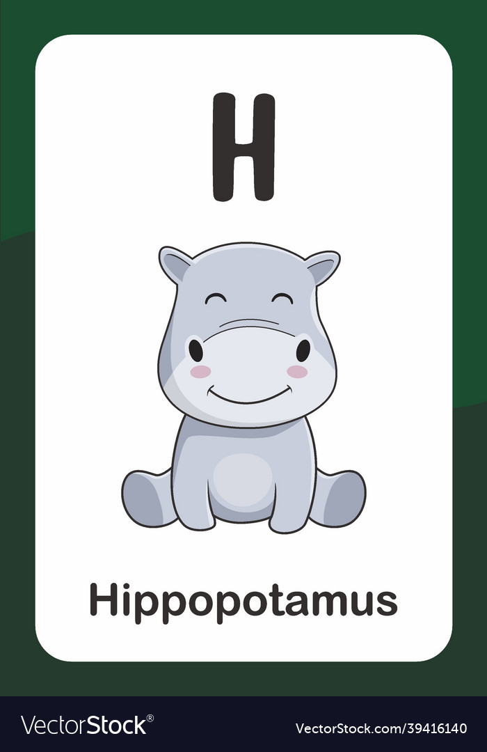 Animal alphabet flash card - h for hippopotamus Vector Image