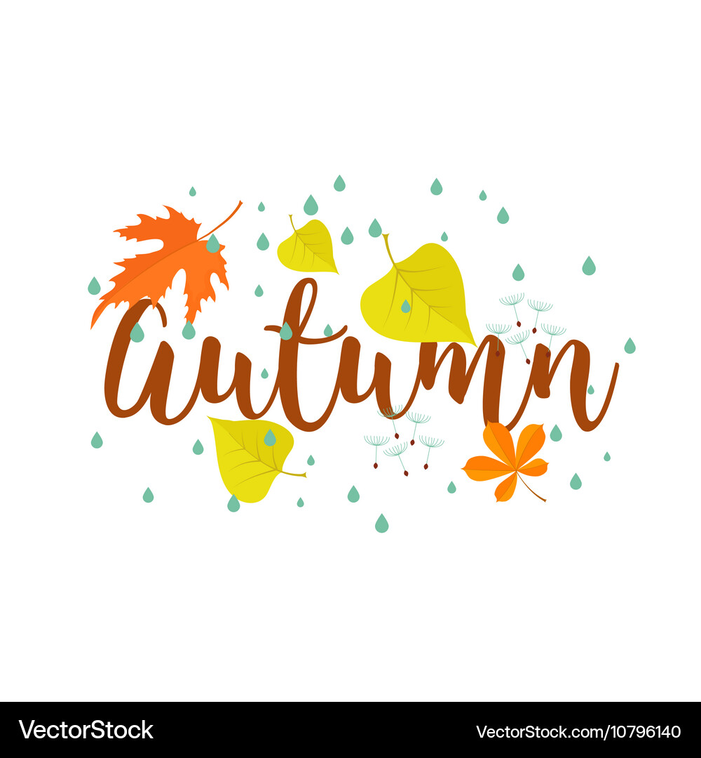 Autumn calligraphy text rain and leaves Royalty Free Vector