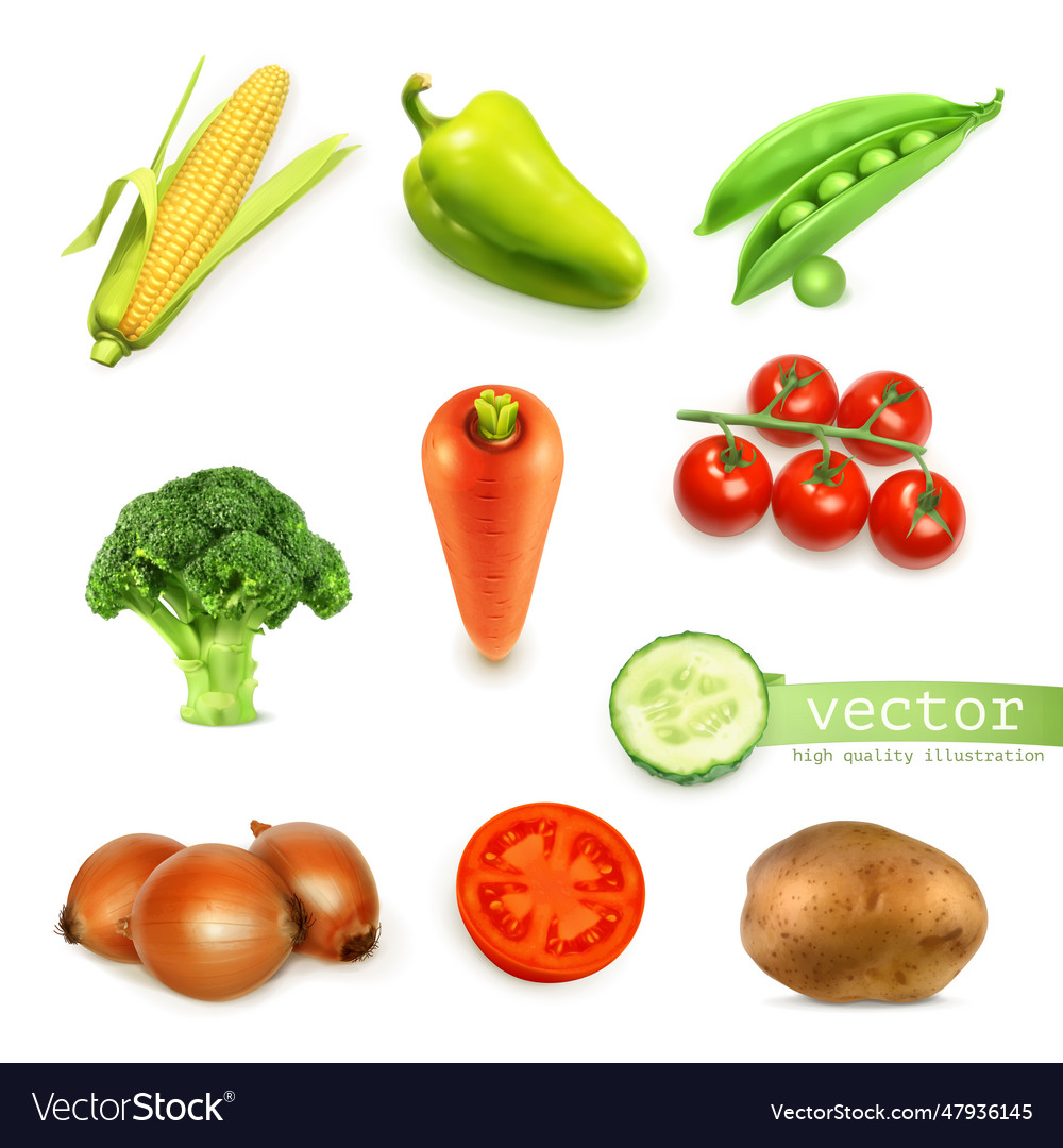 Set of vegetables Royalty Free Vector Image - VectorStock