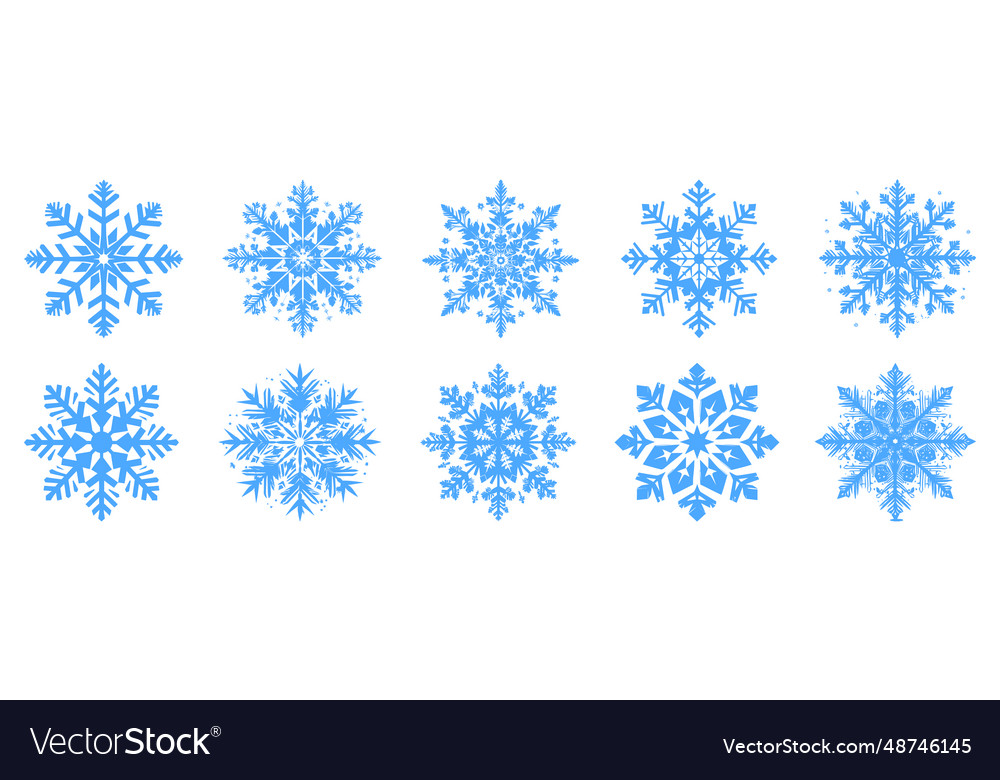 Snowflake icons set collection of blue snowflakes Vector Image