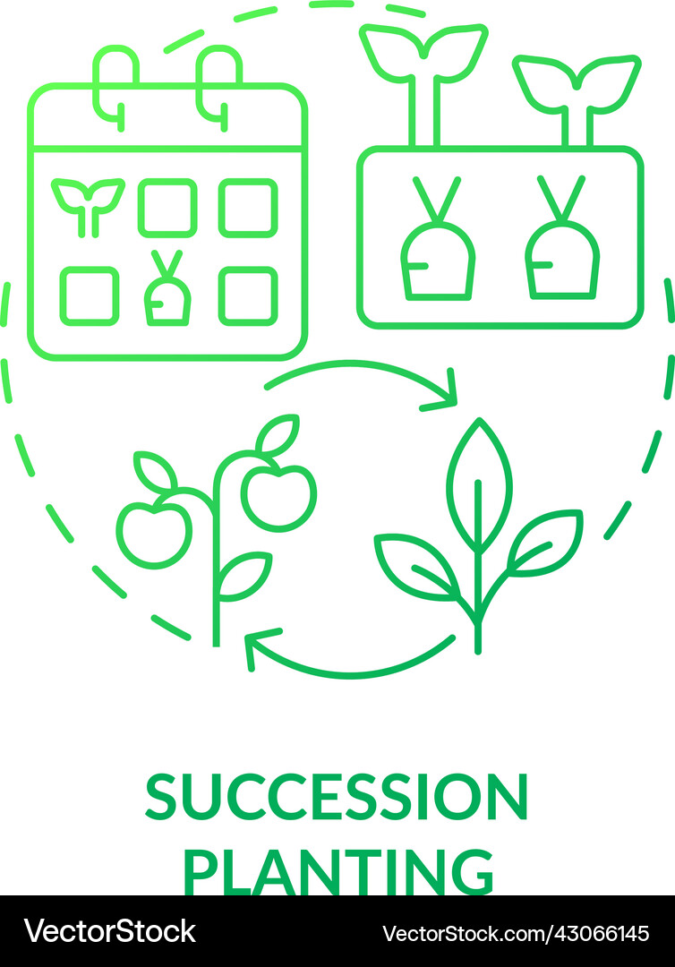 Succession planting green gradient concept icon Vector Image