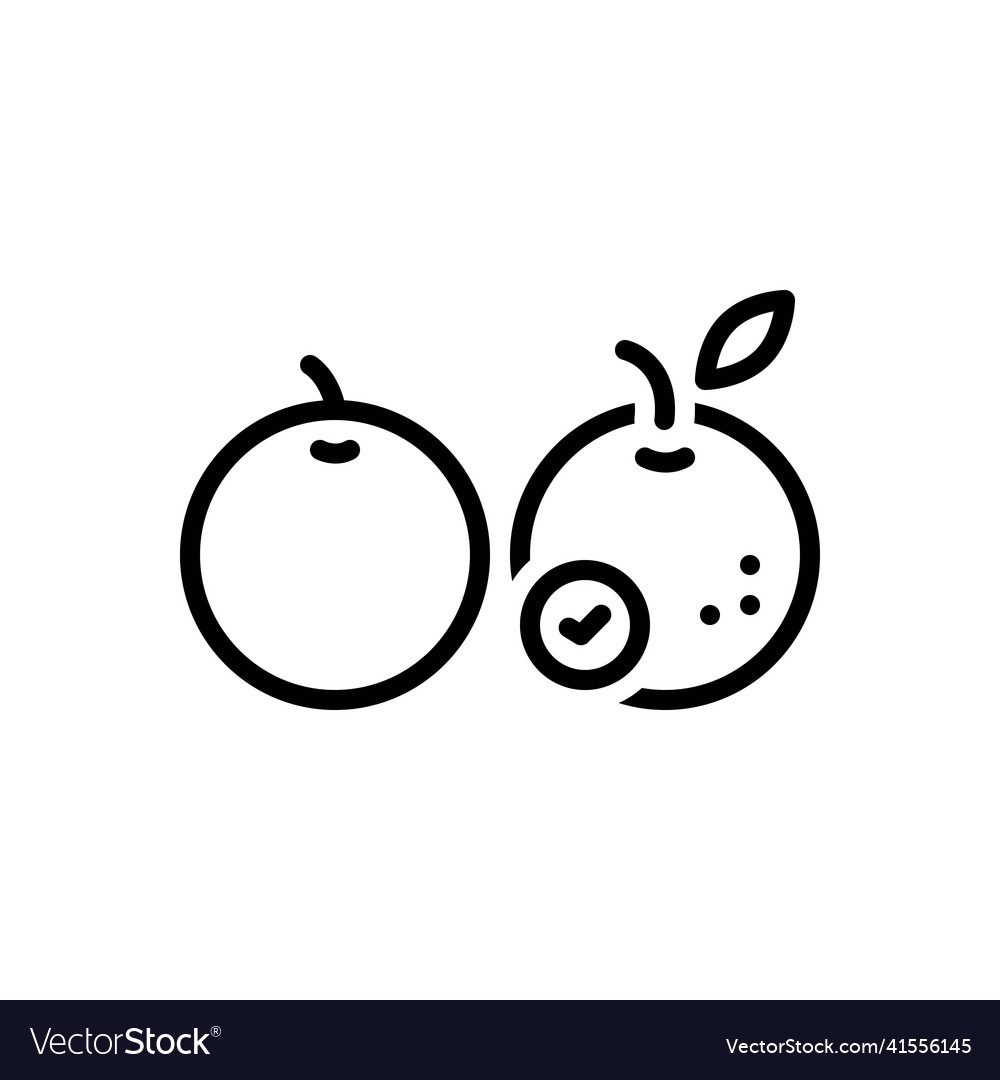 Than Royalty Free Vector Image - VectorStock