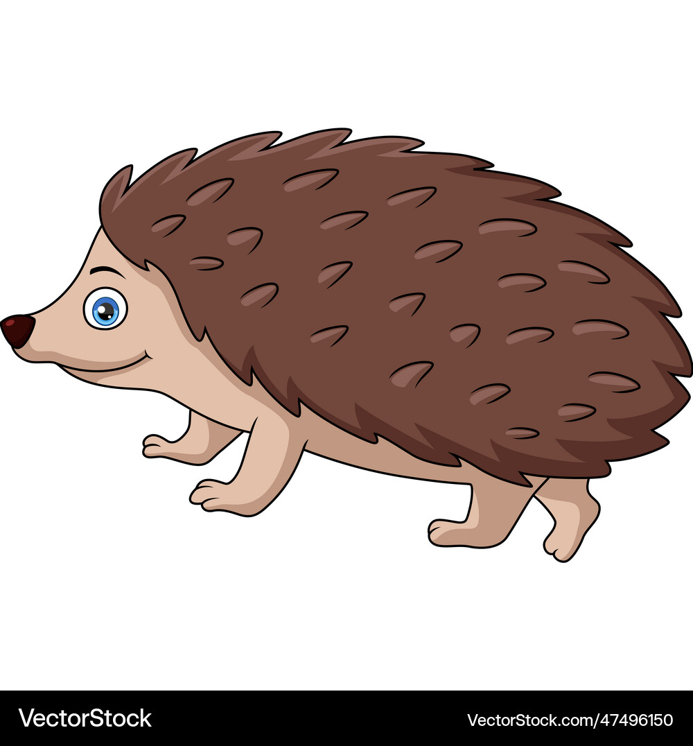 Cute hedgehog cartoon on white background Vector Image