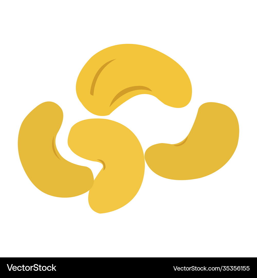 Isolated pure cashew nut on white Royalty Free Vector Image