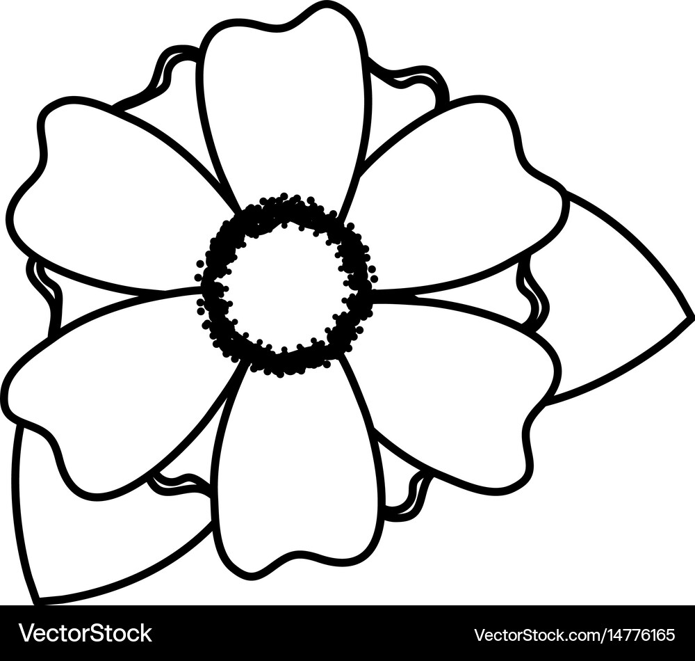 Beautiful flower decoration icon Royalty Free Vector Image