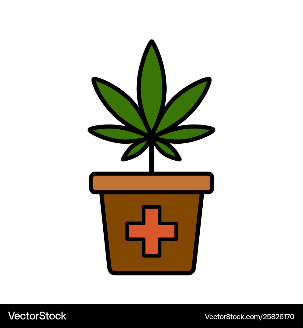 Cannabis Plant in Pot Royalty Free Vector Image