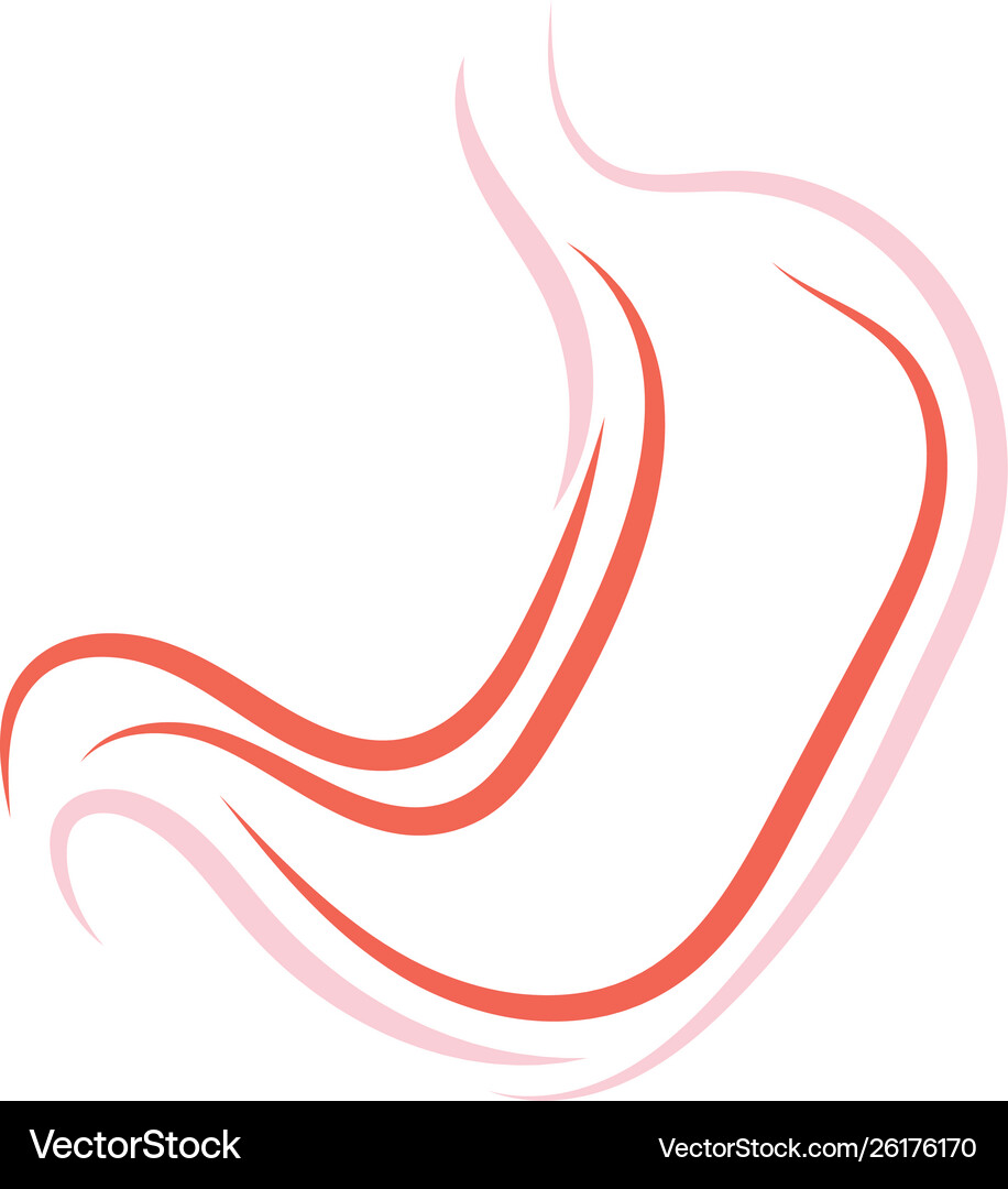 Stomach care icon designs concept Royalty Free Vector Image