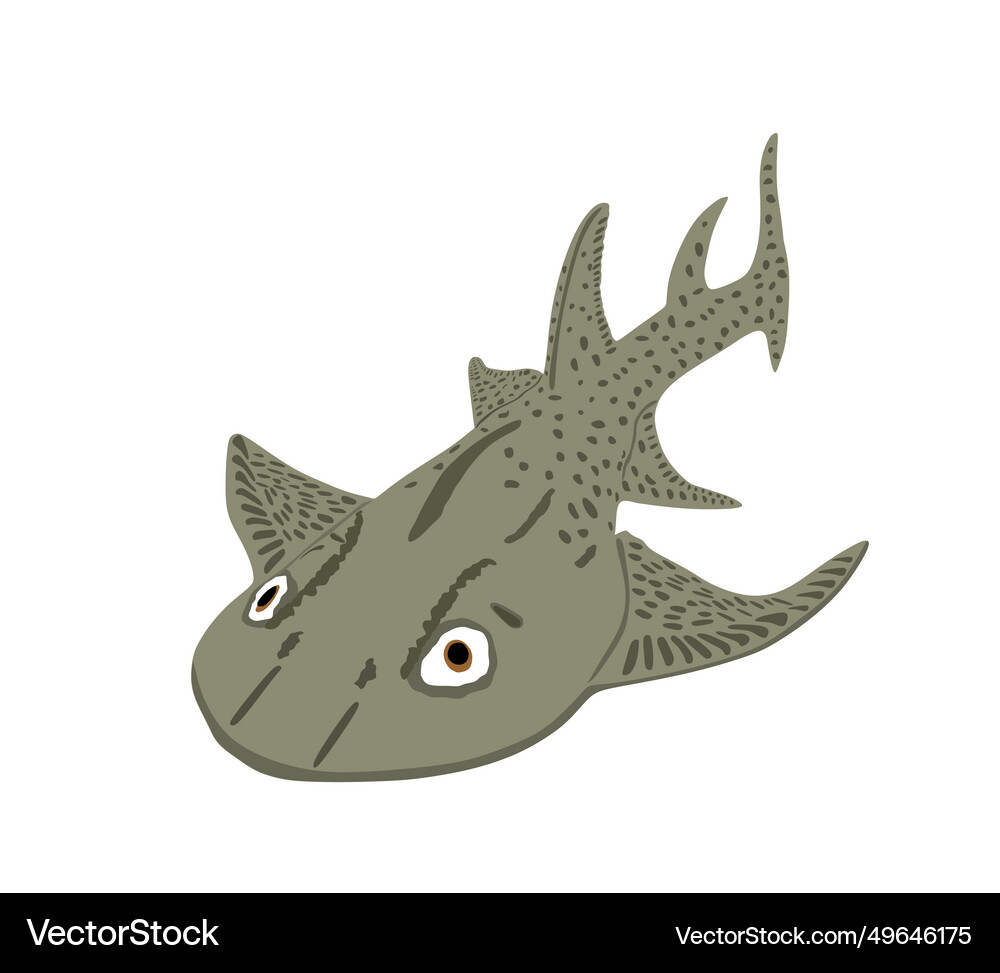 Angel shark isolated on white Royalty Free Vector Image