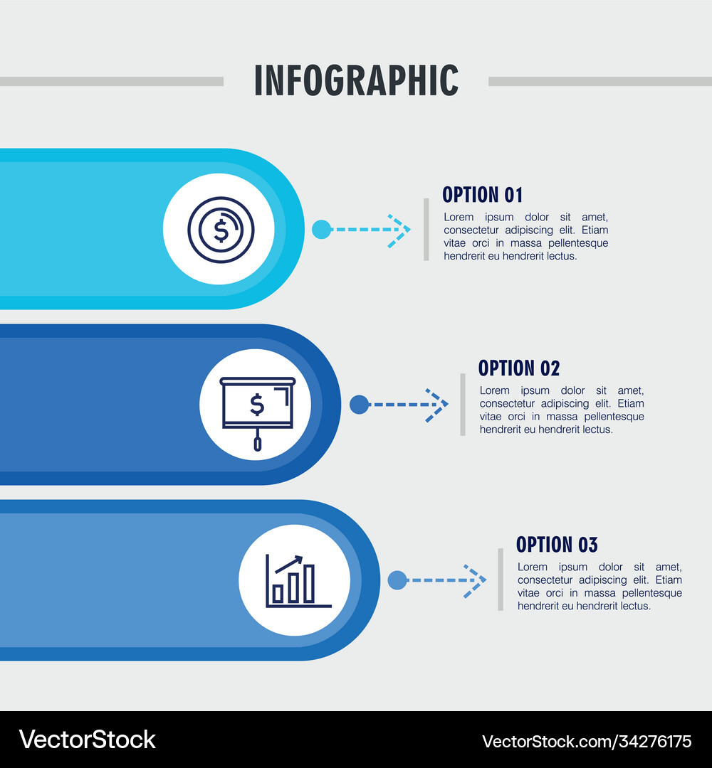 Infographic steps coin board and bars chart Vector Image