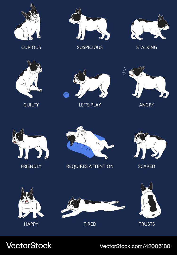 Dogs emotions body language set Royalty Free Vector Image