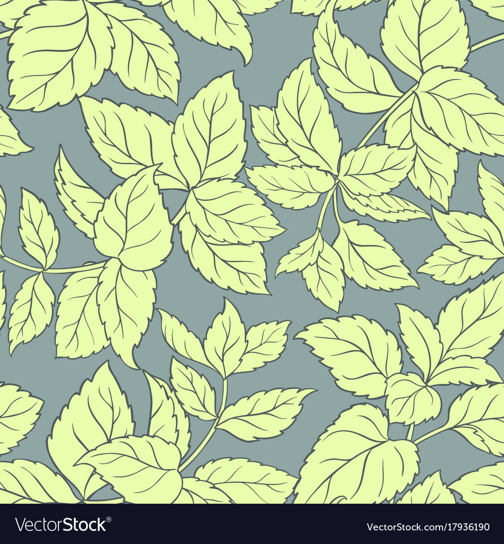Melissa pattern Royalty Free Vector Image - VectorStock