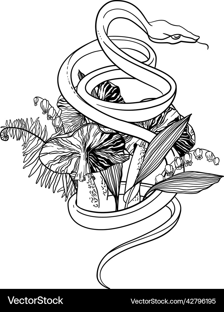 A snake preparing to attack among poisonous Vector Image