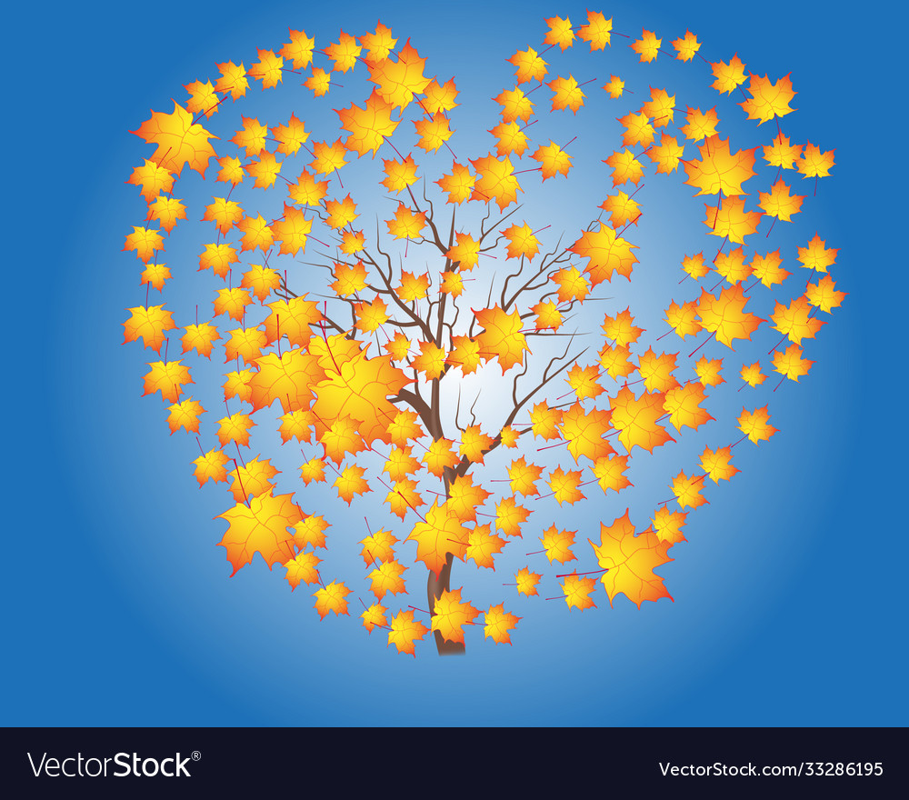 Autumn tree maple leaves against blue bright Vector Image