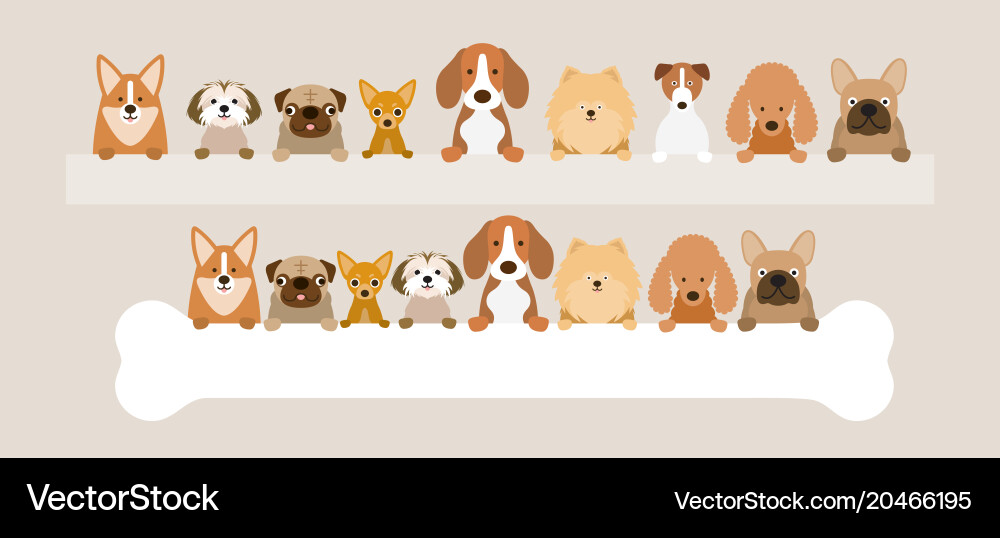 Group dog breeds holding bone and banner Vector Image