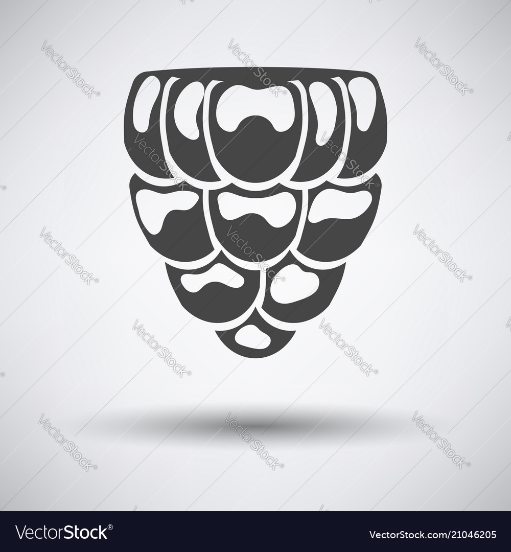 Icon raspberry Royalty Free Vector Image - VectorStock