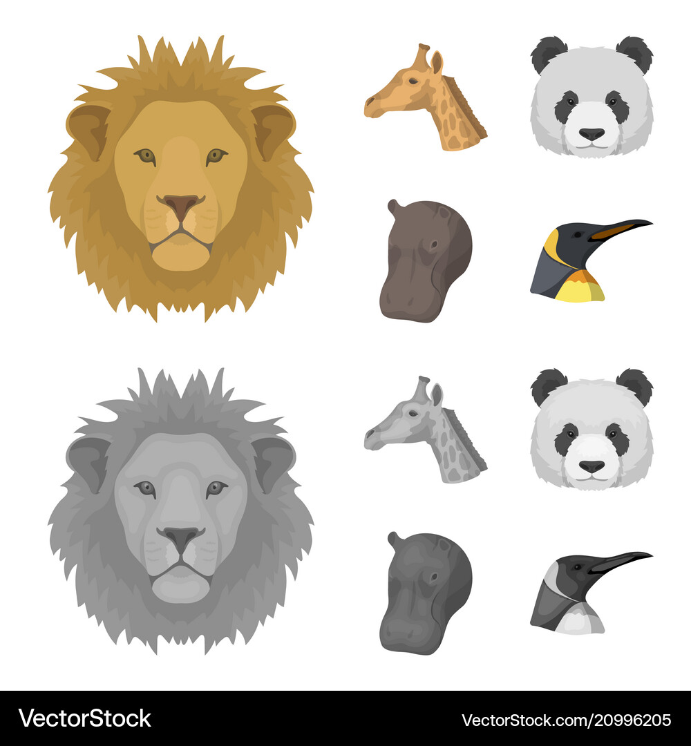 Panda giraffe hippopotamus penguin realistic Vector Image