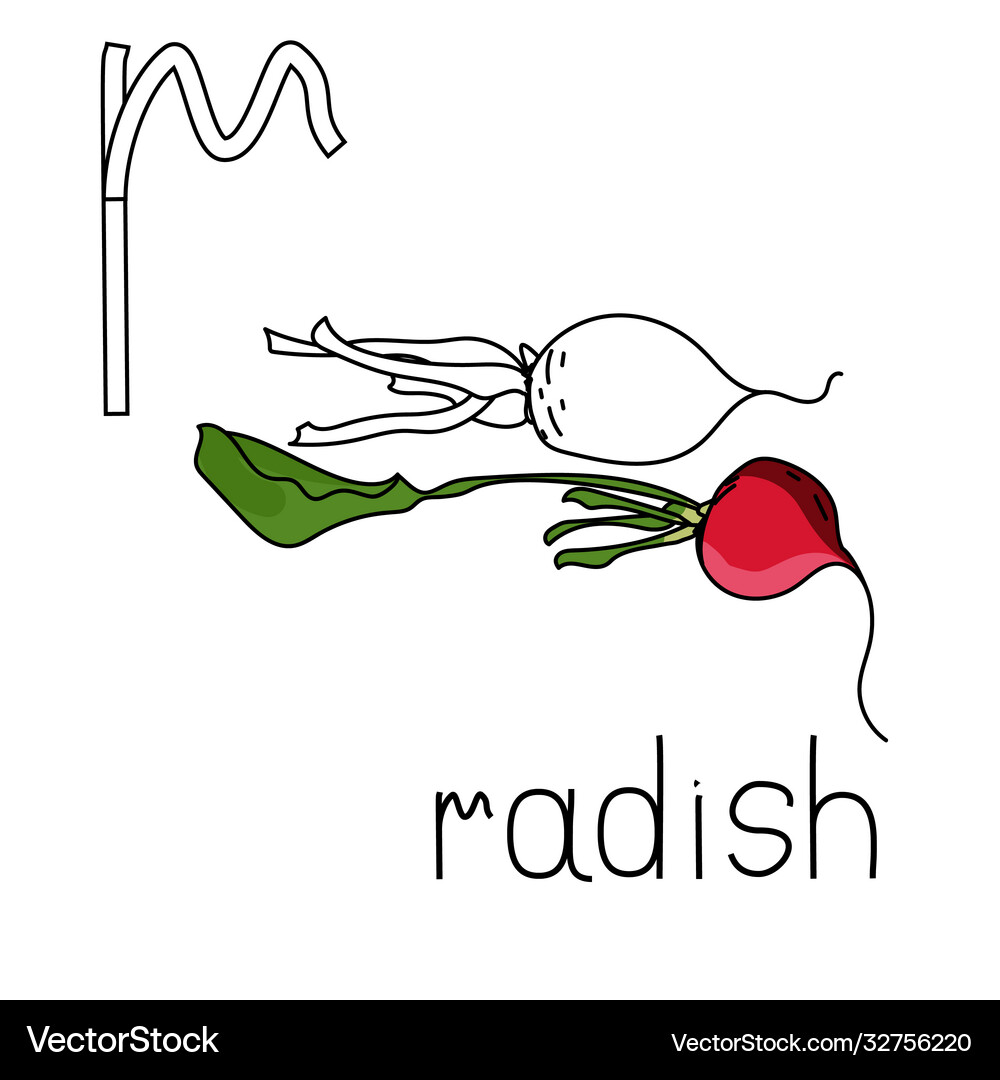 Radish Coloring Page Premium Vector | Radish Vegetable Coloring Pages