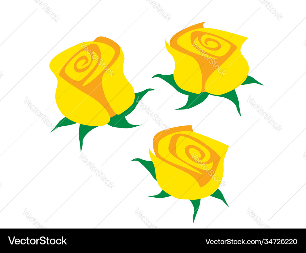 Drawing yellow flowers on a white background Vector Image