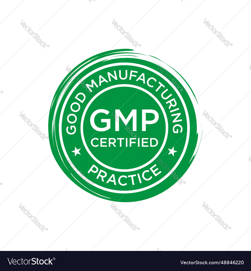 Gmp good manufacturing practice certified logo Vector Image