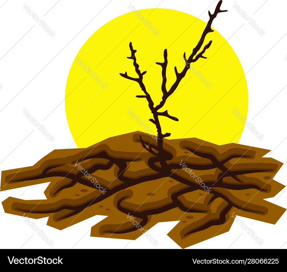 Dry dead tree in cracked desert land Royalty Free Vector