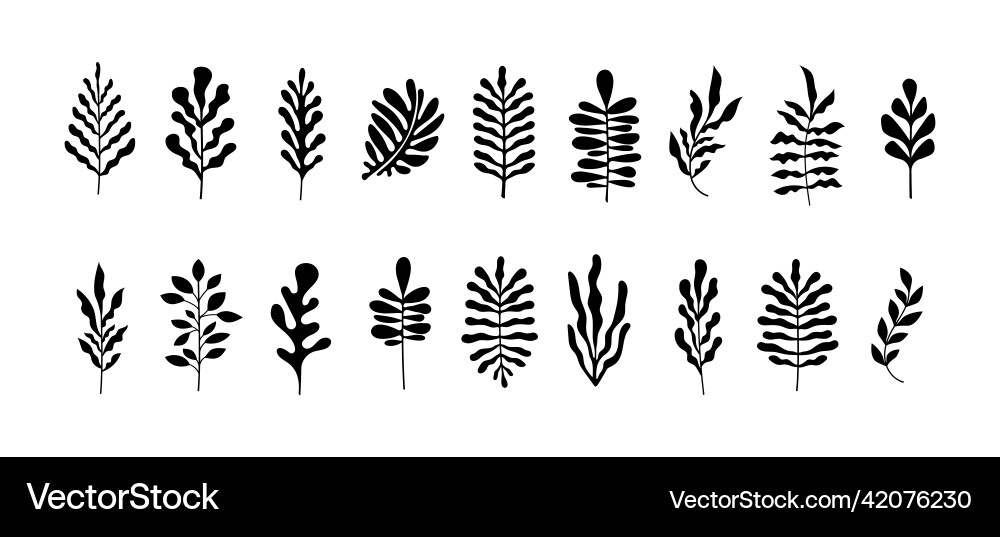 Abstract botanical wall art contemporary Vector Image