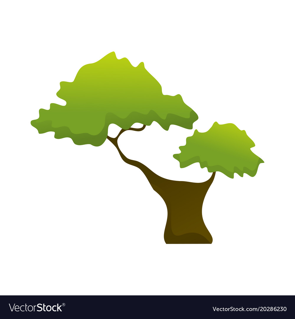 Two branch isolated tree plant Royalty Free Vector Image