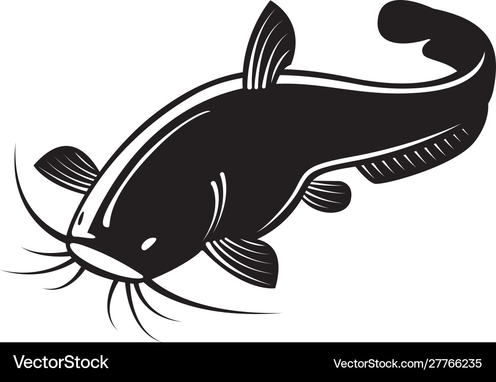 Graphic black catfhish on white background Vector Image
