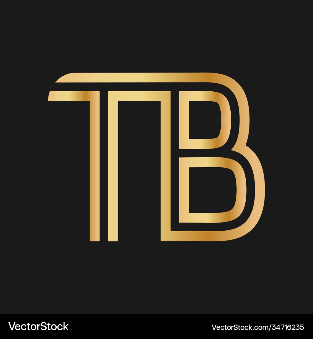 Uppercase letters t and b flat bound design Vector Image