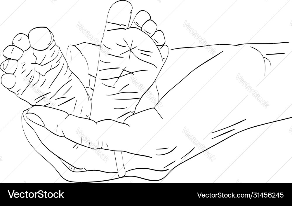 Baby feet on white background Royalty Free Vector Image