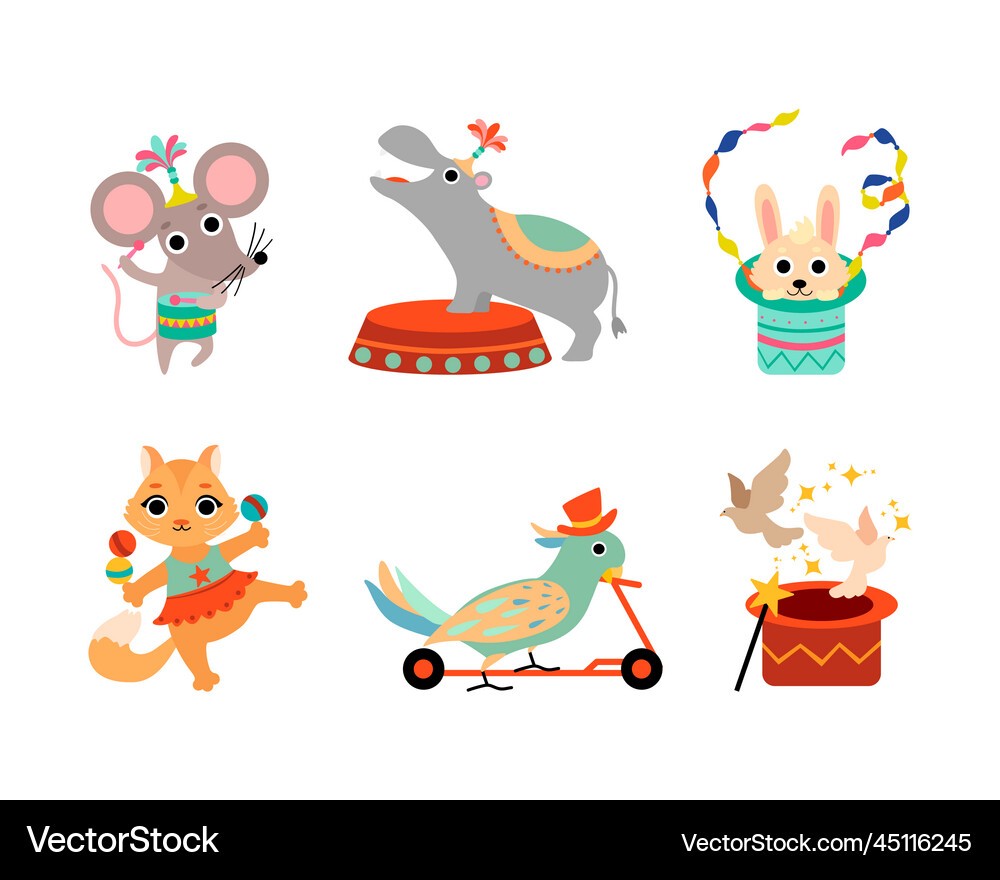 Circus animal performing trick riding scooter Vector Image